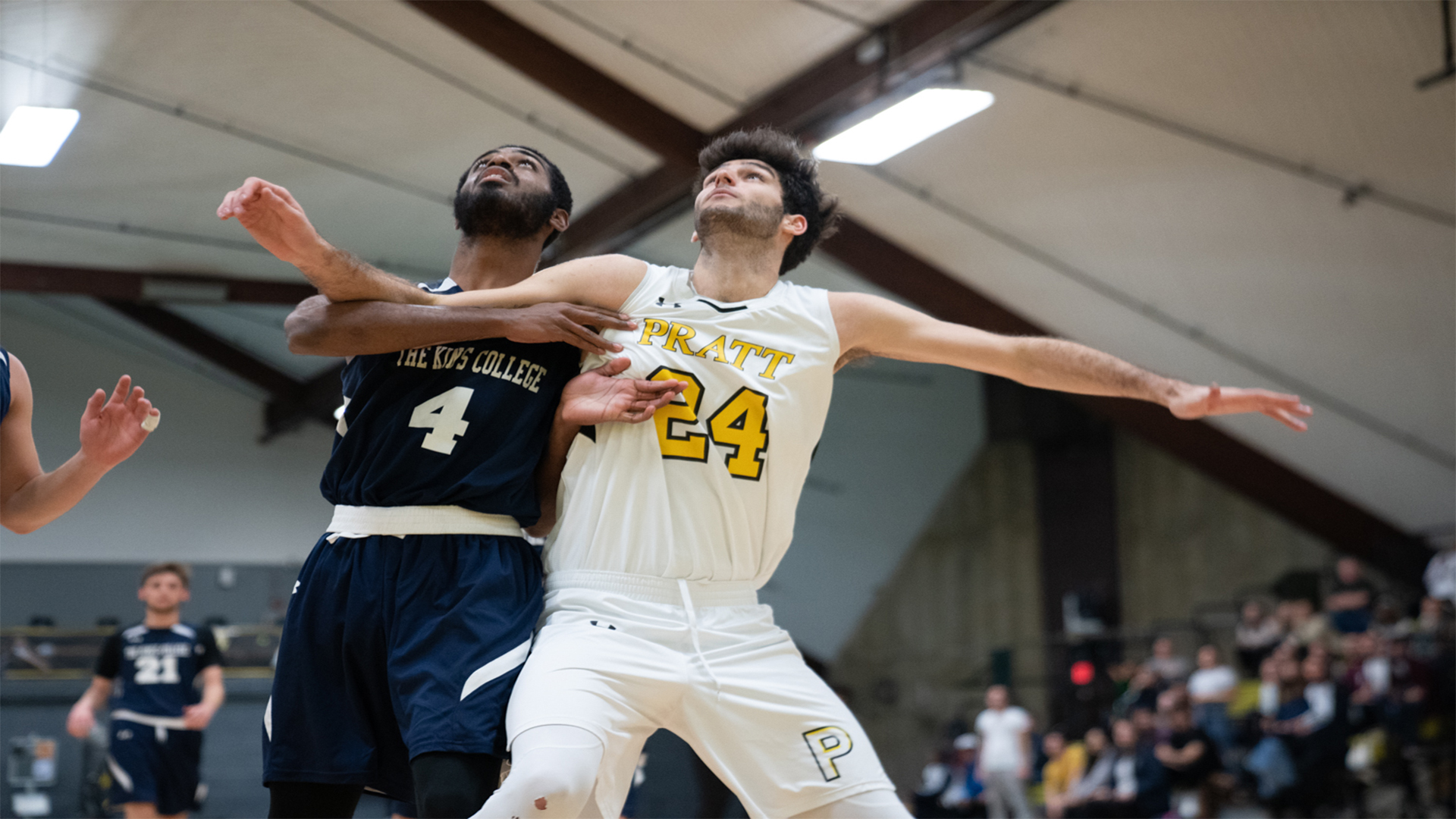 Arthur Zani - Men's Basketball - Pratt Institute