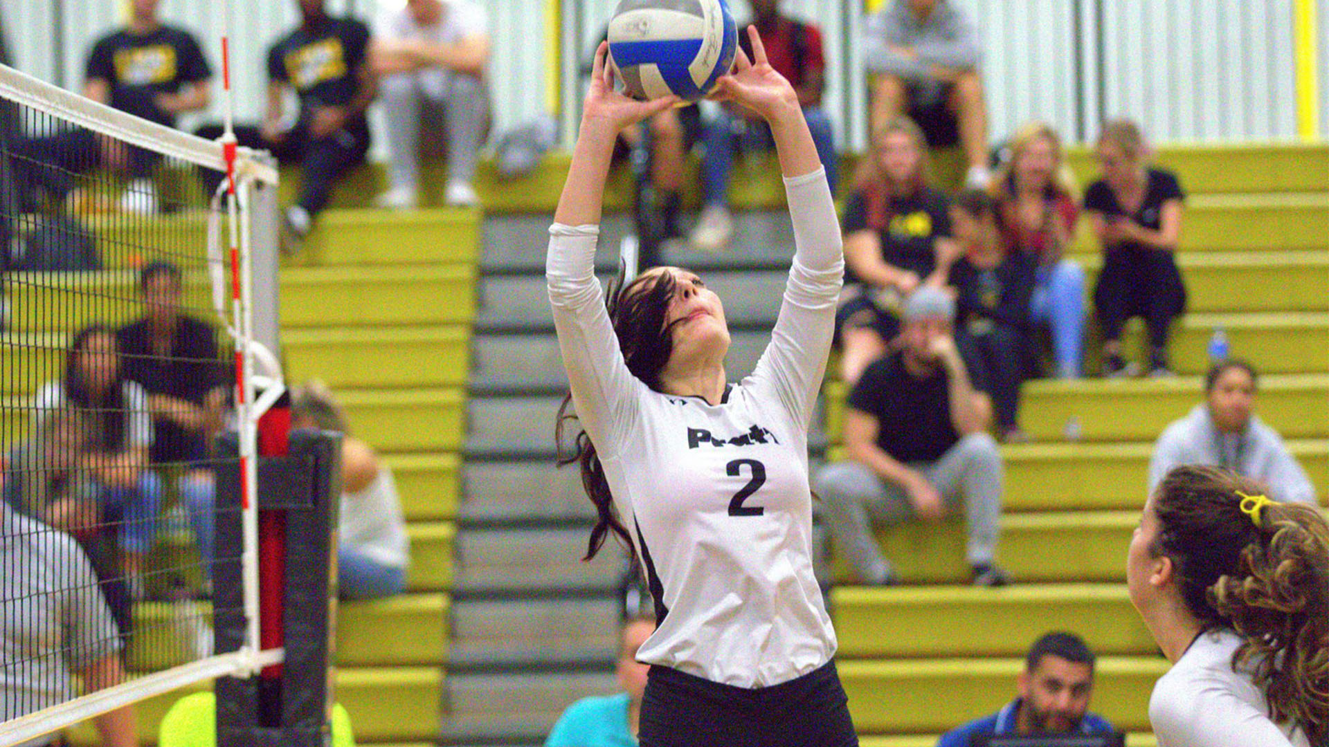 Avery Toomes - Women's Volleyball - Pratt Institute