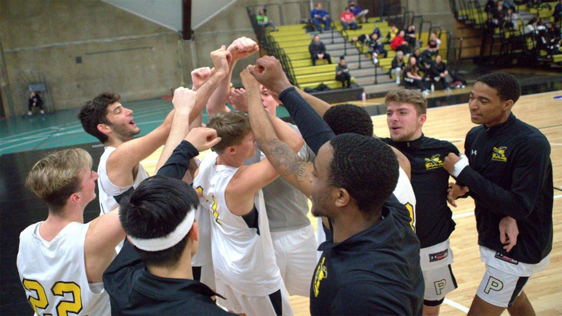 2019-20 Year in Review: Men's Basketball - Pratt Institute