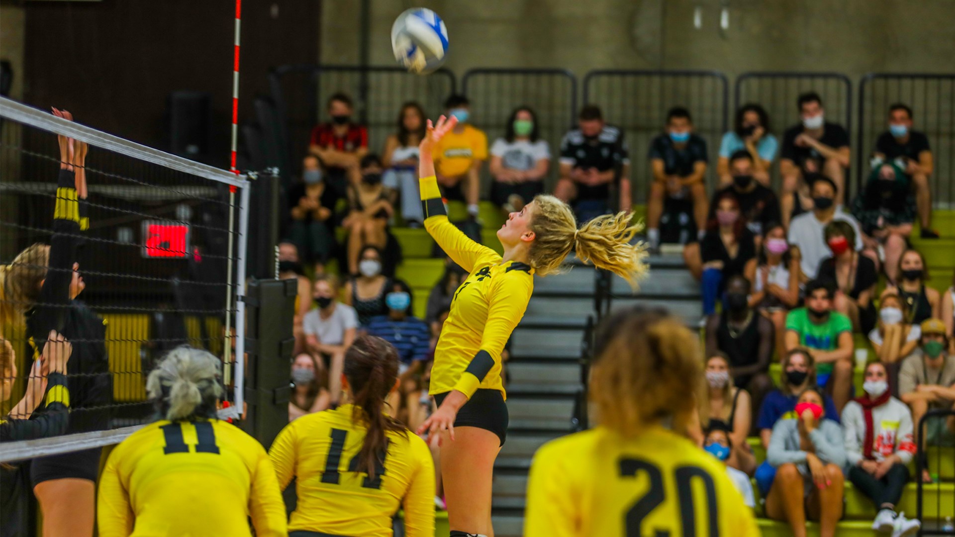 Madeline Markley - Women's Volleyball - Pratt Institute