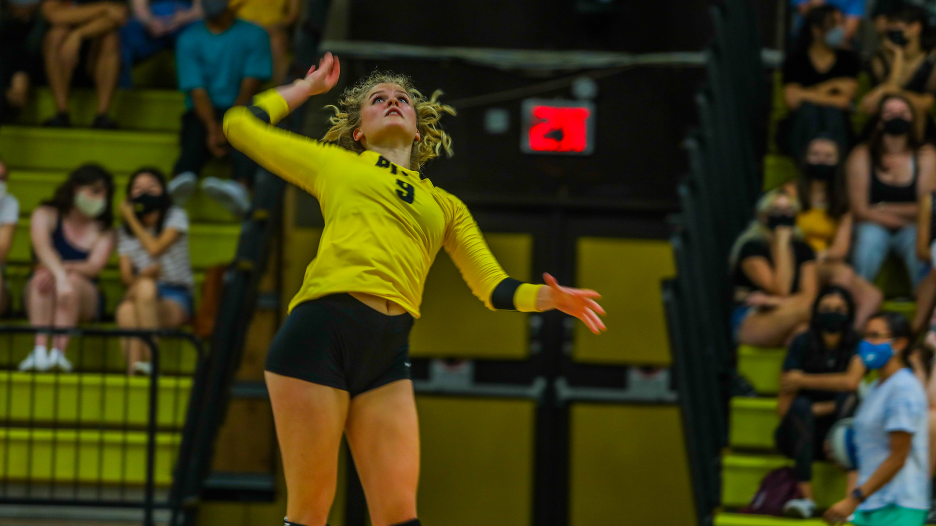 Madeline Markley - Women's Volleyball - Pratt Institute