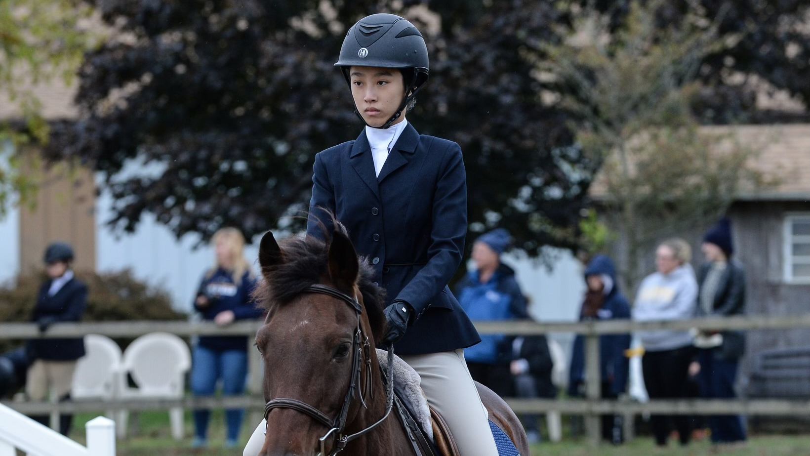 Amy Wu - Equestrian - Pratt Institute