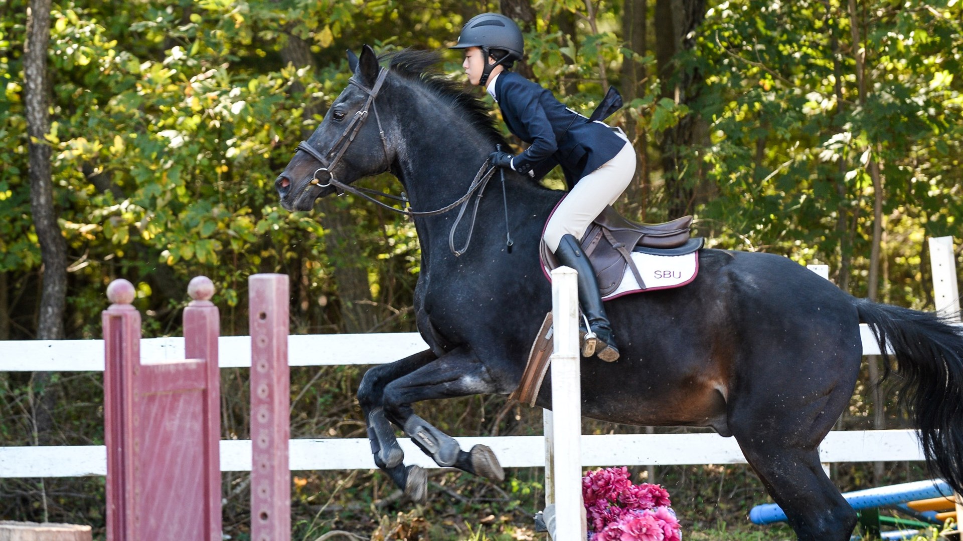 Amy Wu - Equestrian - Pratt Institute