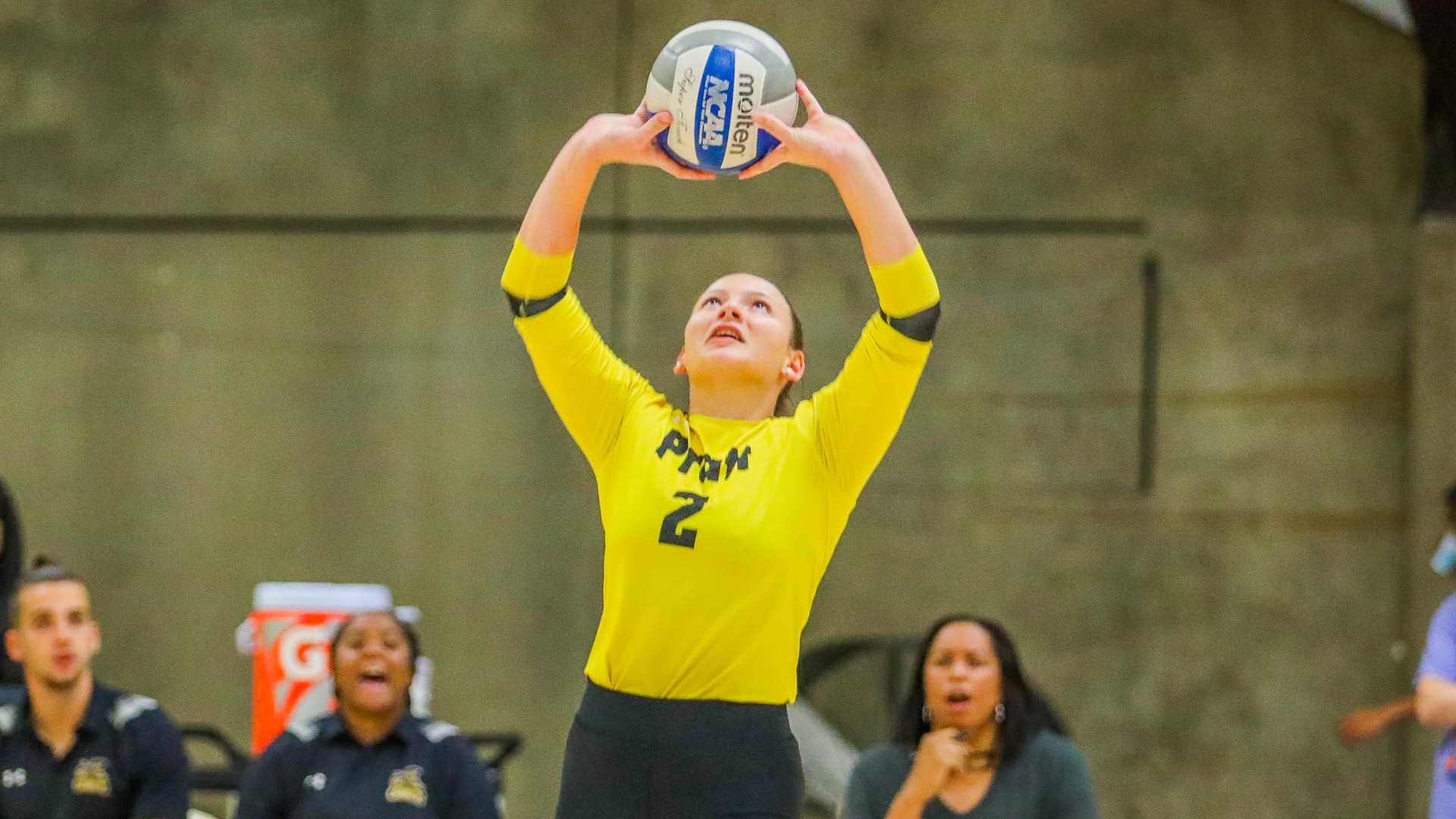 Deanna Colondona - Women's Volleyball - Pratt Institute