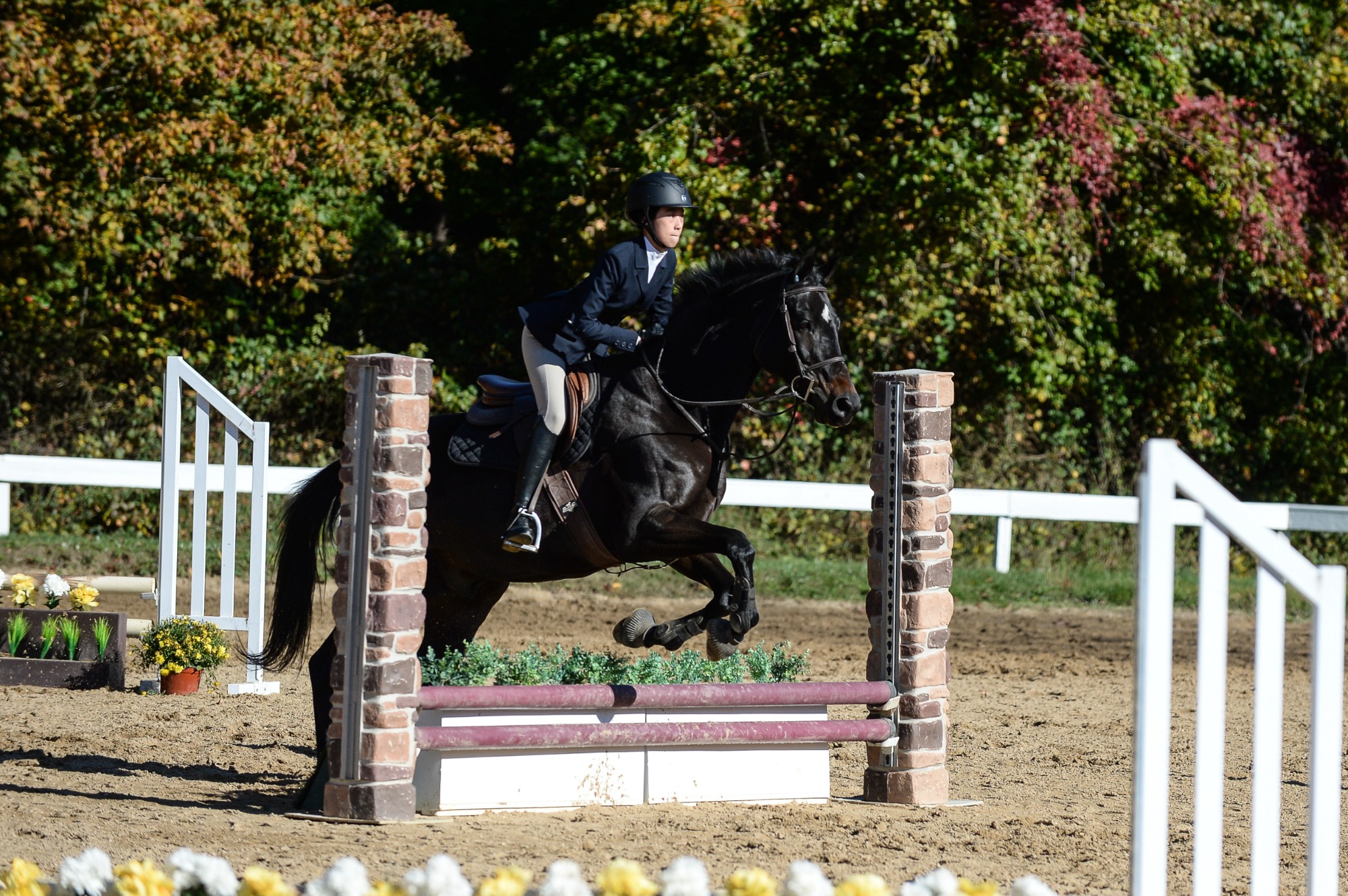 Amy Wu - Equestrian - Pratt Institute