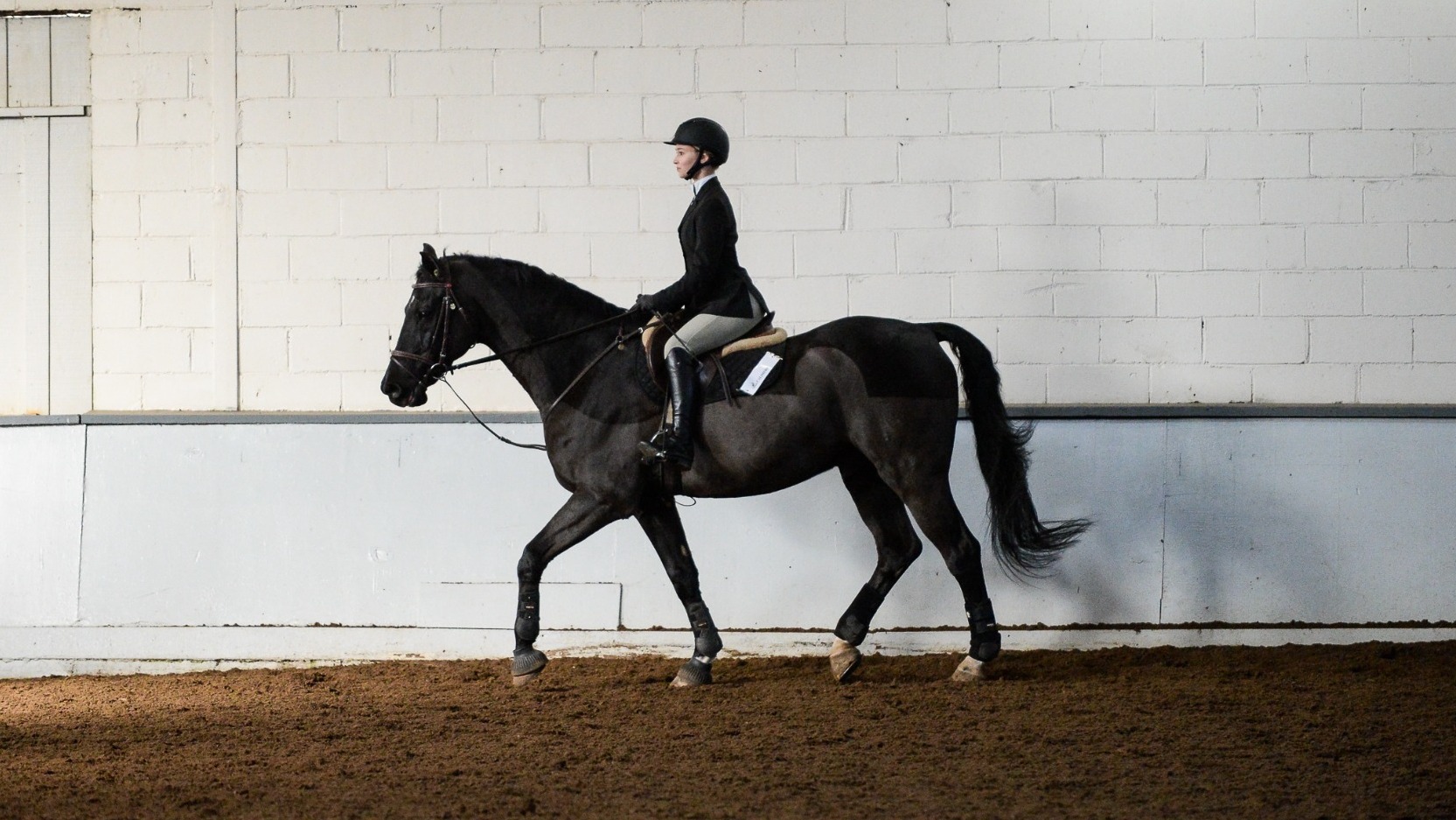 Walker Qualifies for Regionals, Equestrian Nabs Pair of Firsts at LIU ...