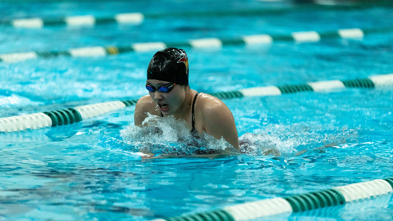 Lady Vikings Swim Team Finishes 8th at SW Sectionals - Princeton ...
