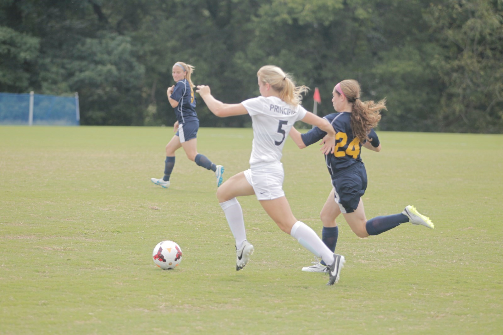 Emelie Fredrikson - Women's Soccer - Principia College Athletics