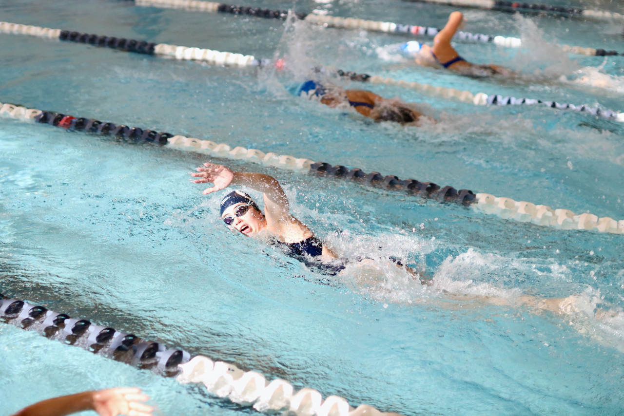 Avery Hanson - Women's Swimming & Diving - Principia College Athletics