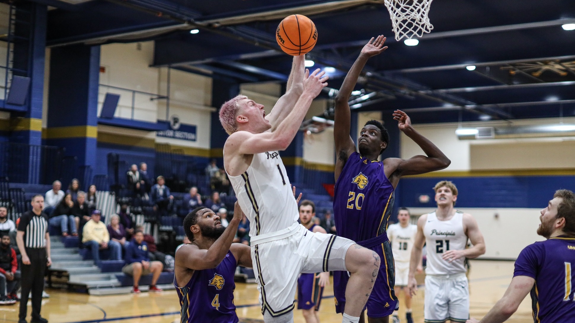 Panthers drop road game to high-powered WashU - Principia College Athletics