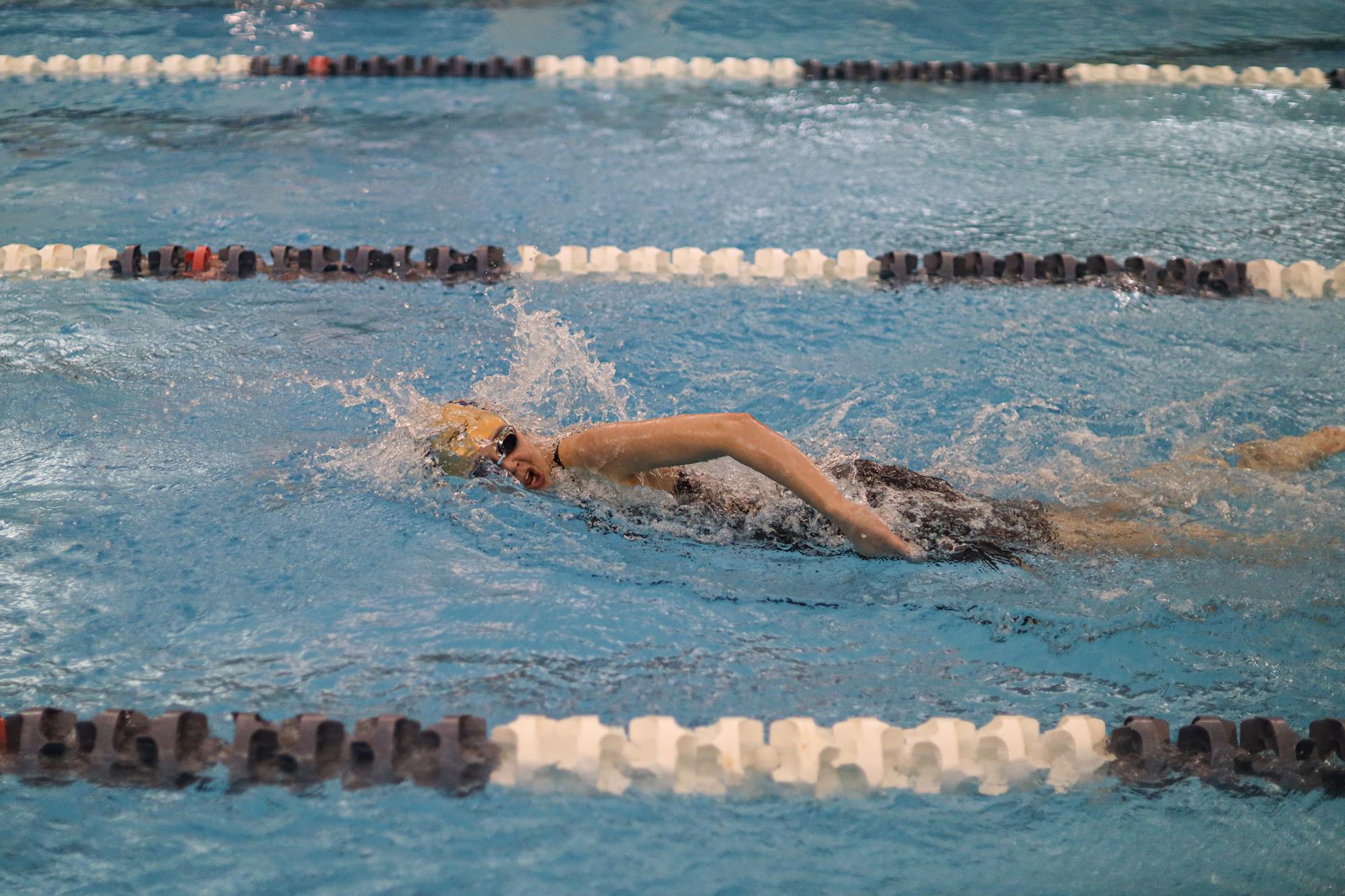 Avery Hanson - Women's Swimming & Diving - Principia College Athletics