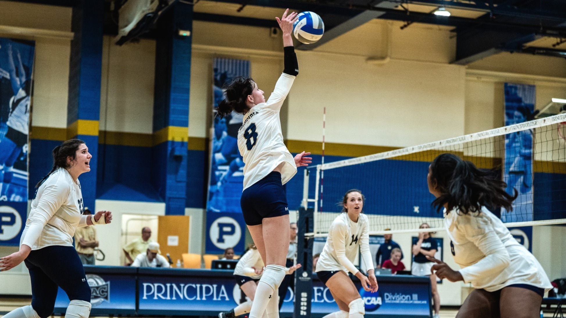Volleyball continues improvement in home opener loss - Principia ...