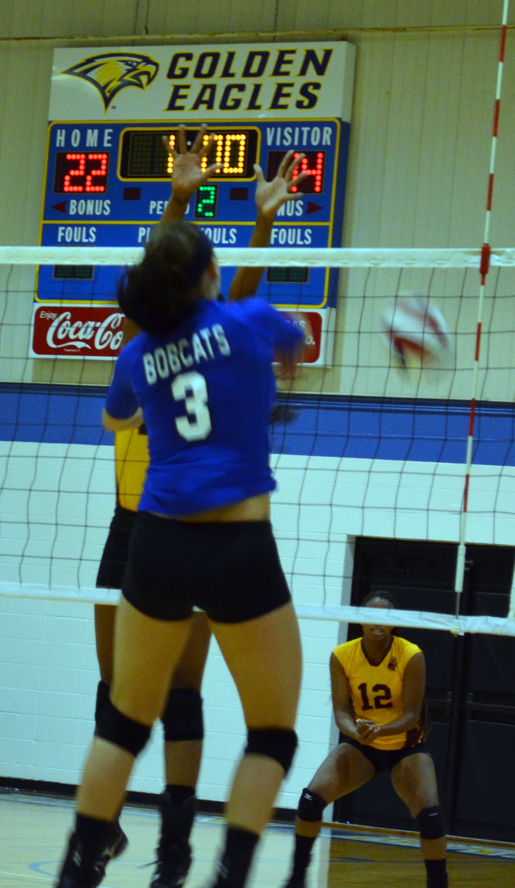 Tara Gonzalez - Volleyball - Peru State College Athletics