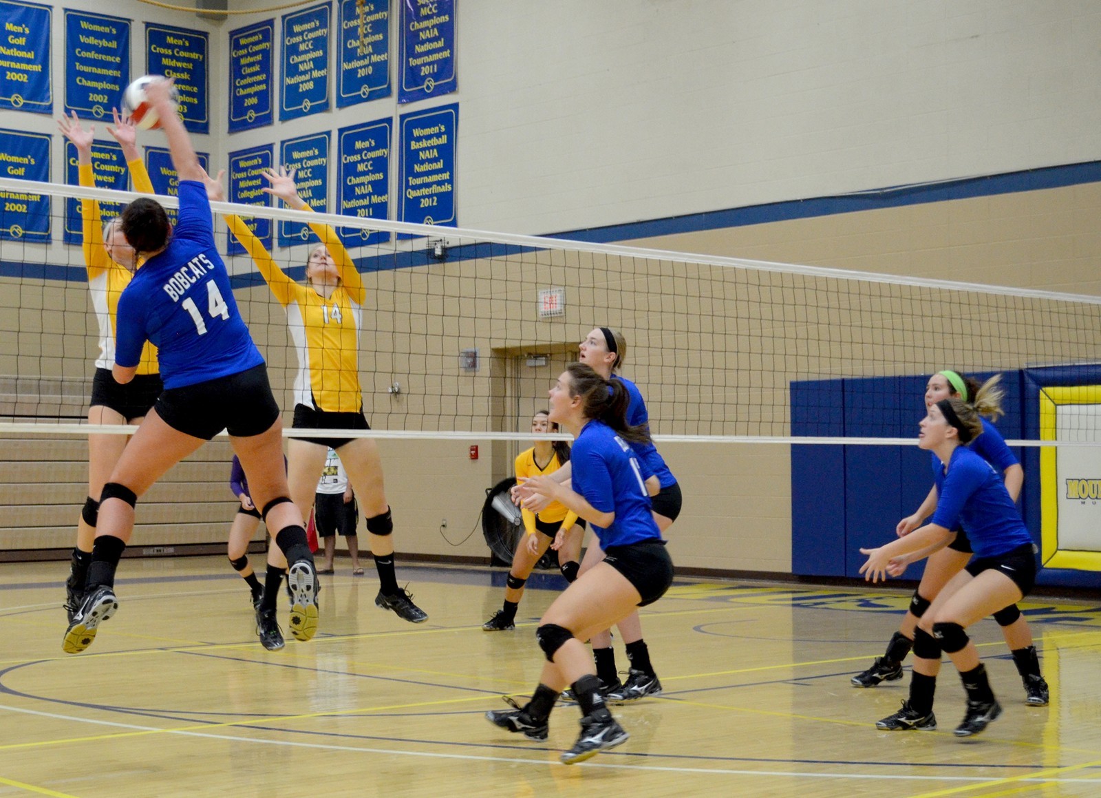 Allison Glathar - Volleyball - Peru State College Athletics