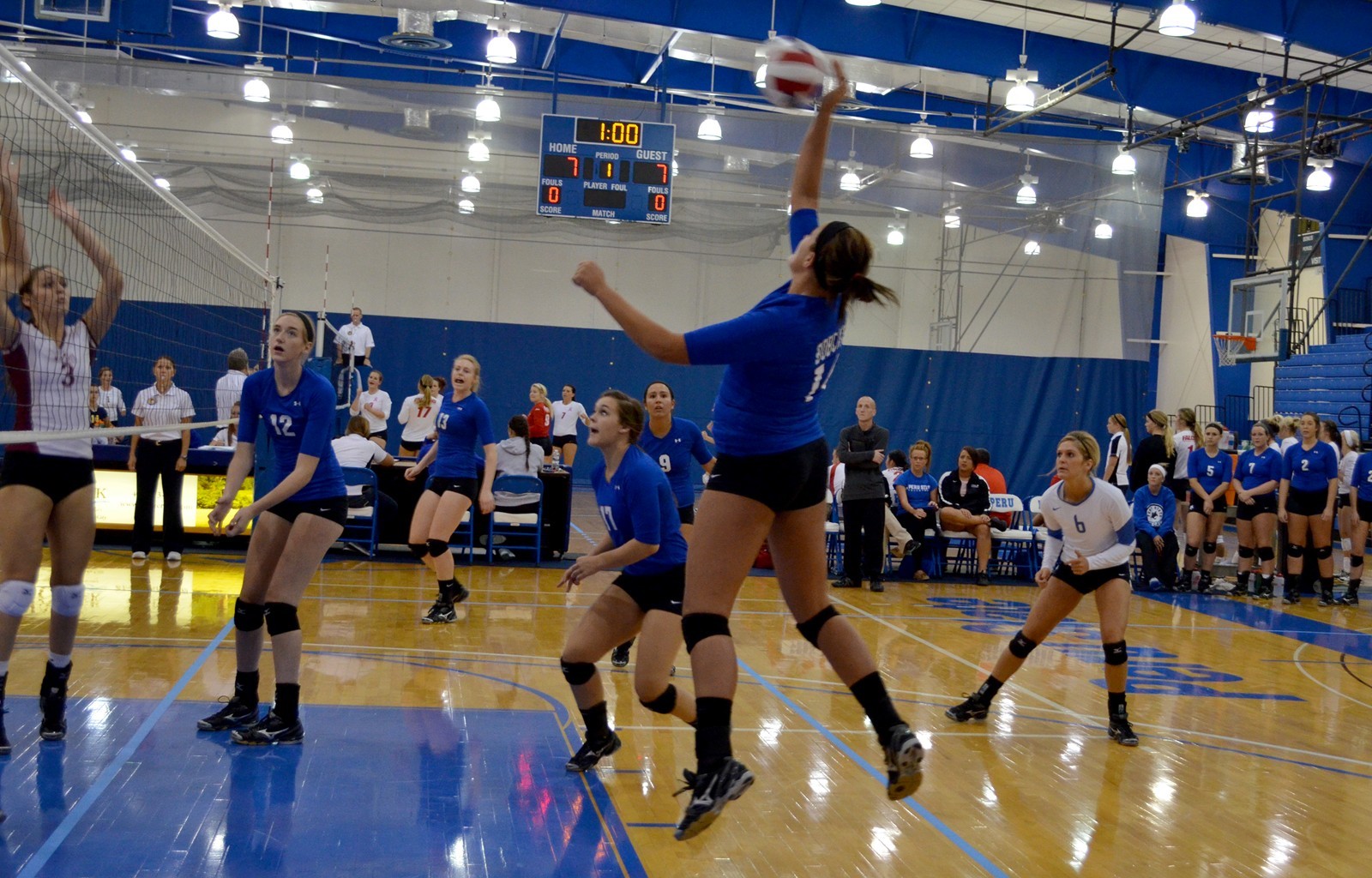 Jordyn Lukasiewicz - Volleyball - Peru State College Athletics