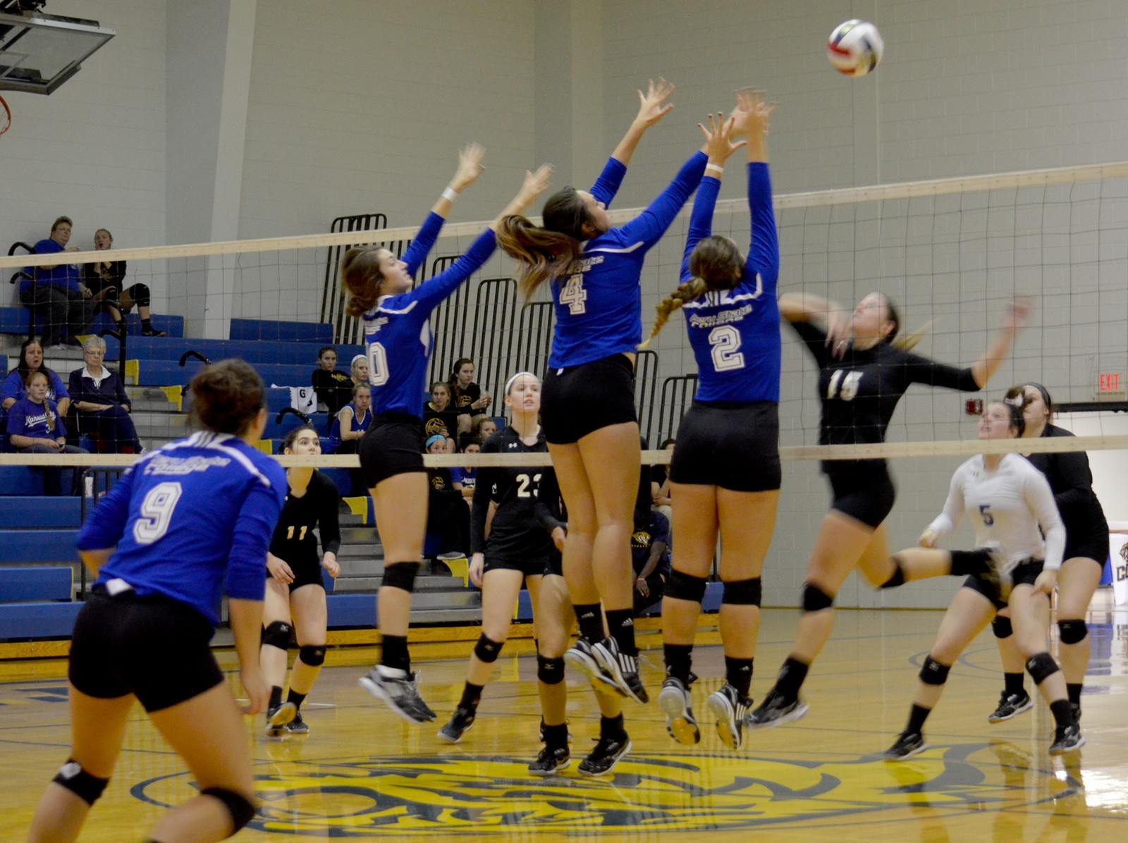 Courtney Jurek - Volleyball - Peru State College Athletics