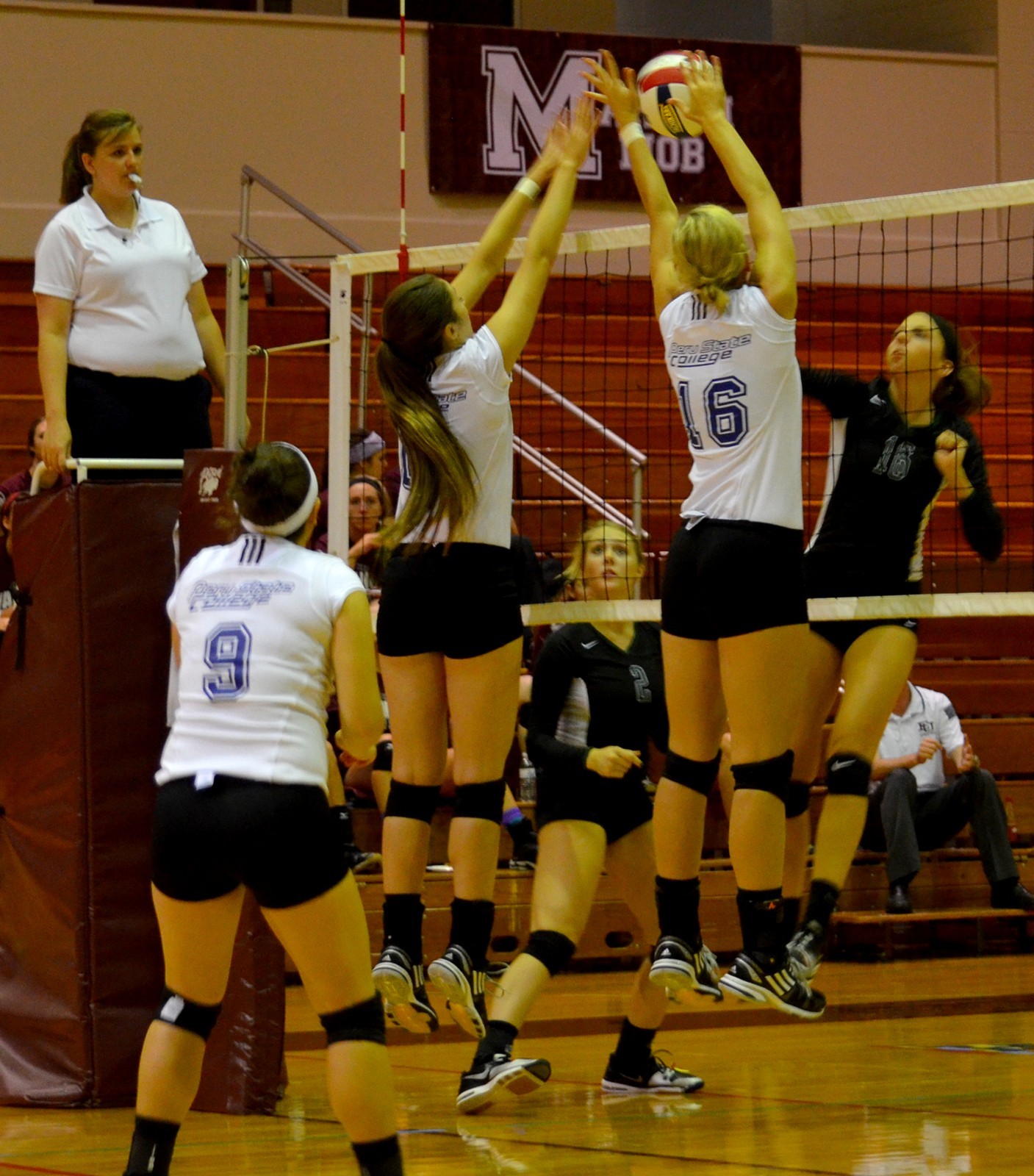 Alyssa Martin - Volleyball - Peru State College Athletics