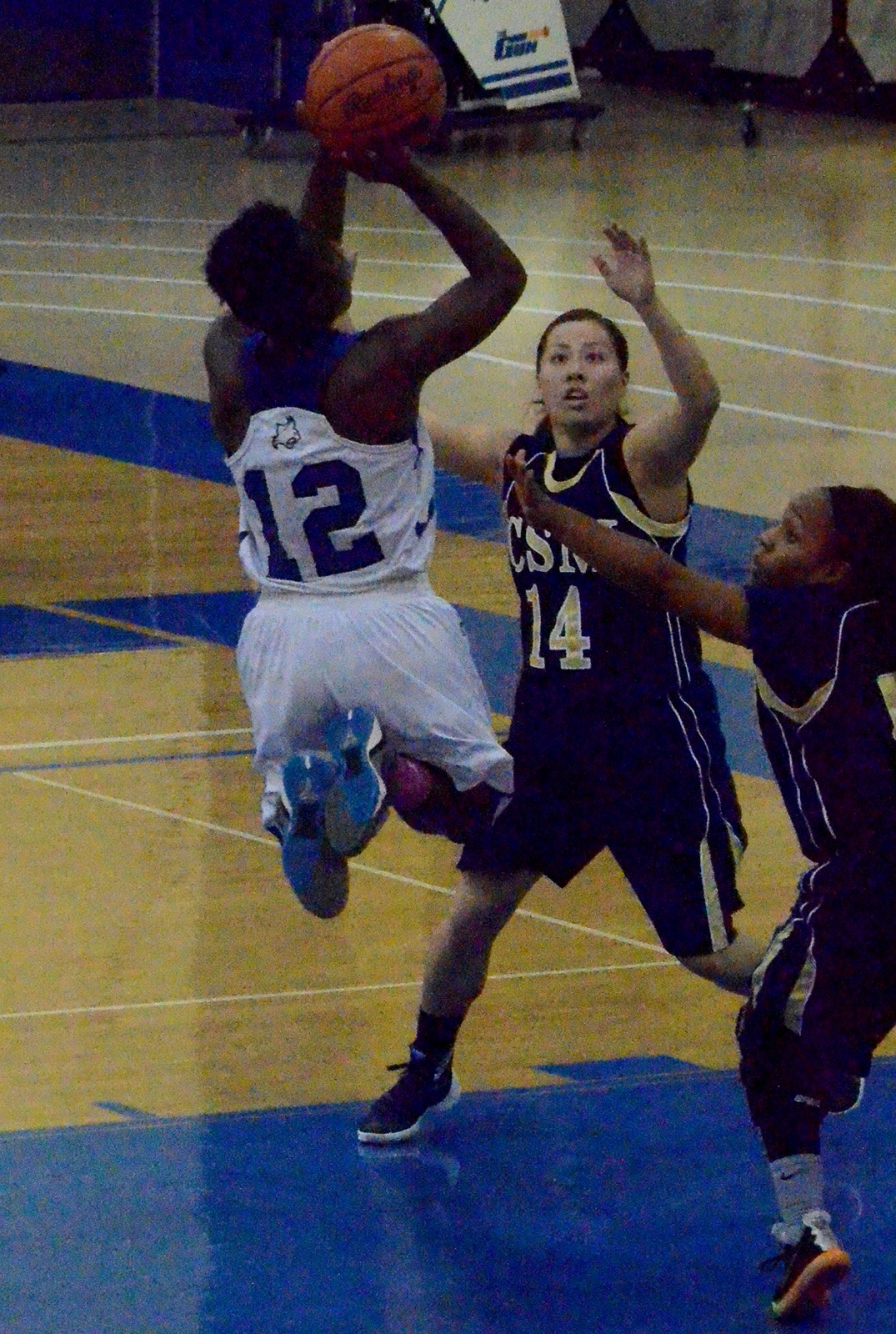Sydney Wilkinson - Women's Basketball - Peru State College Athletics