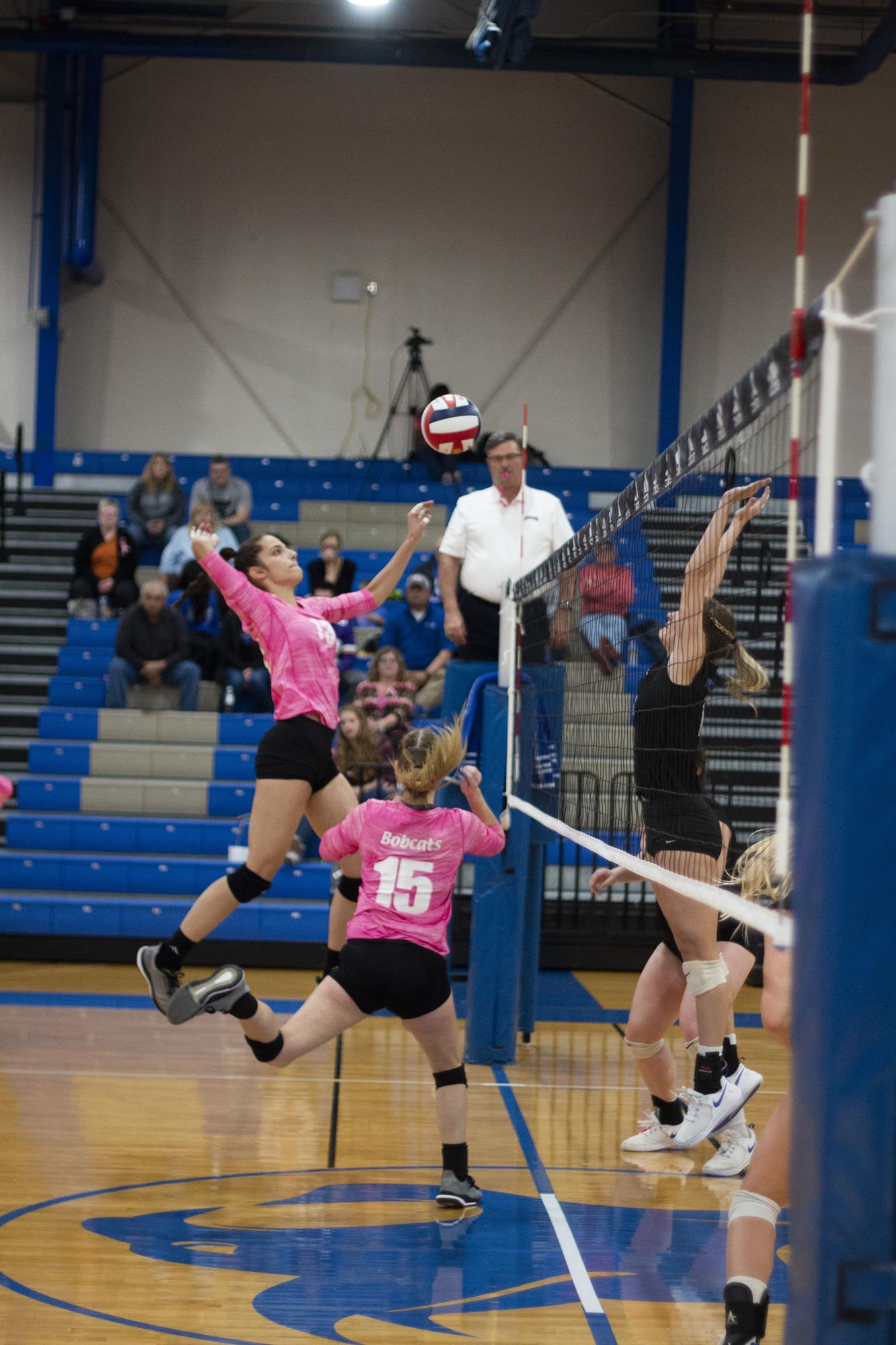 Nadja Janjevic - Volleyball - Peru State College Athletics