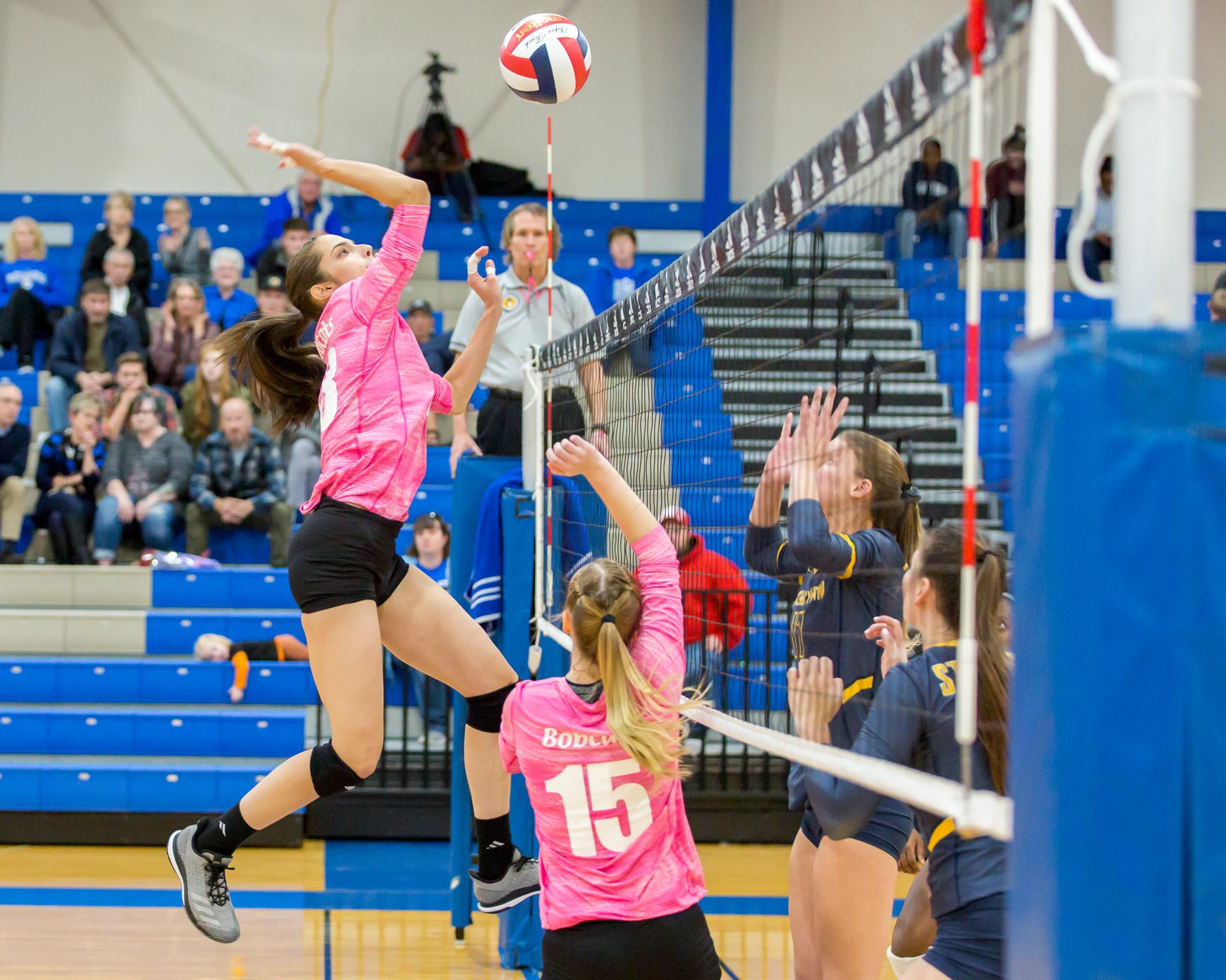 Nadja Janjevic - Volleyball - Peru State College Athletics