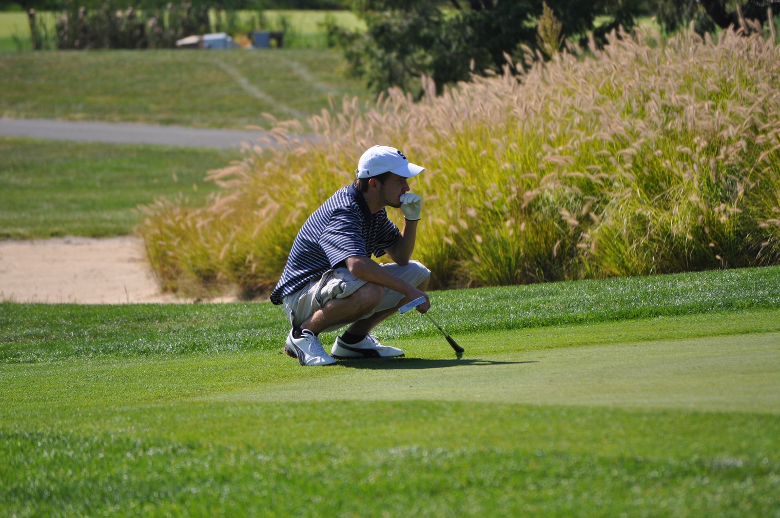 Joshua Roesch - Men's Golf - Penn State Berks Athletics