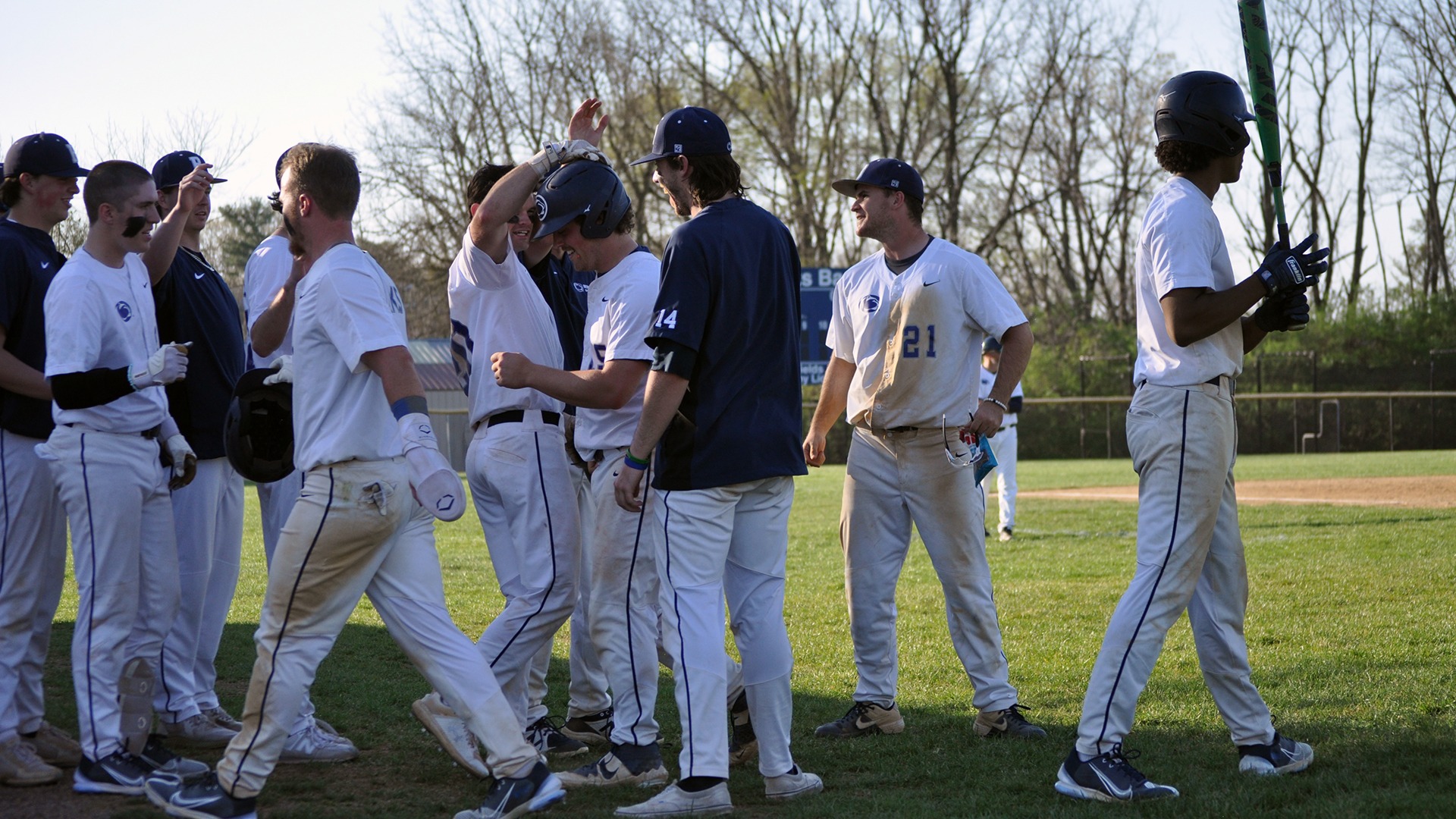 Aloysius Battista - Baseball - Penn State Berks Athletics