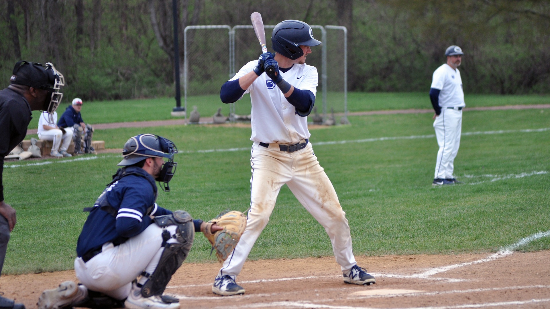 Colin Templin - Baseball - Penn State Berks Athletics