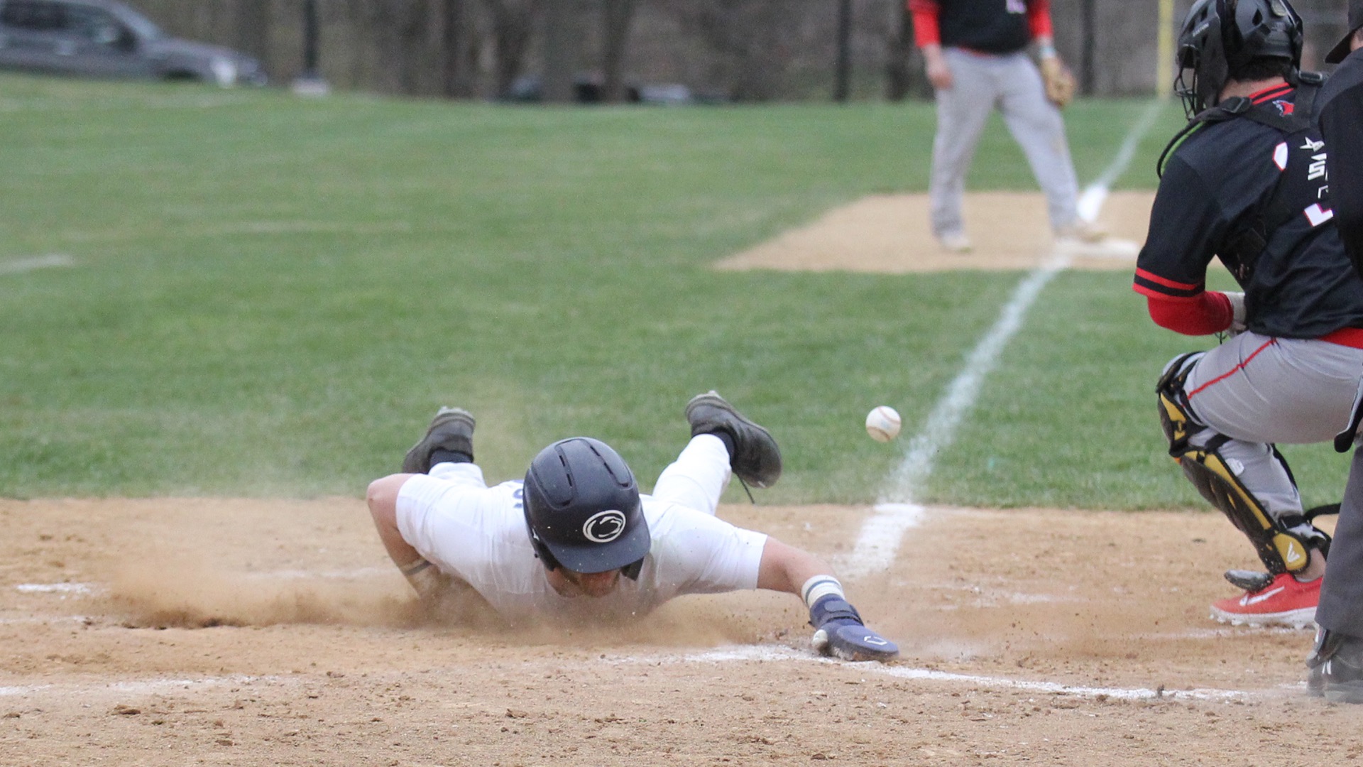 Lions Fall To Cardinals - Penn State Berks Athletics