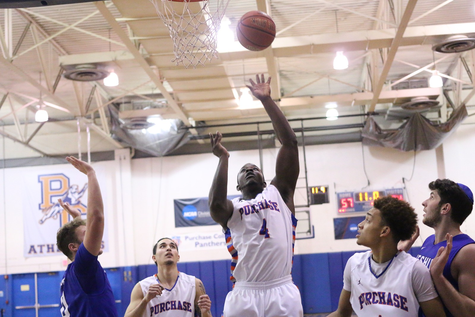 Taylor Foster - 2015-16 - Men's Basketball - Purchase College Athletics