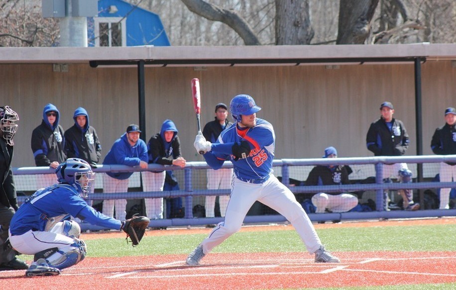 Chris Triano - 2015 - Baseball - Purchase College Athletics