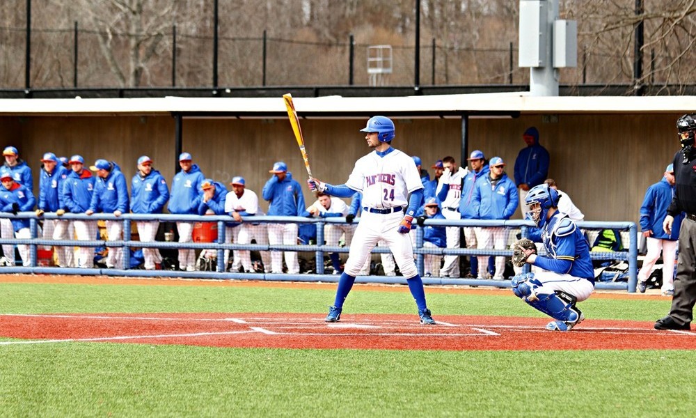 William Kaul - 2016 - Baseball - Purchase College Athletics