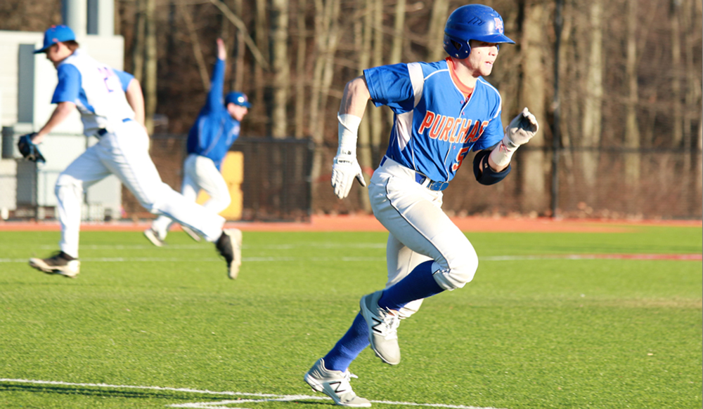 Patrick Rucci - 2017 - Baseball - Purchase College Athletics