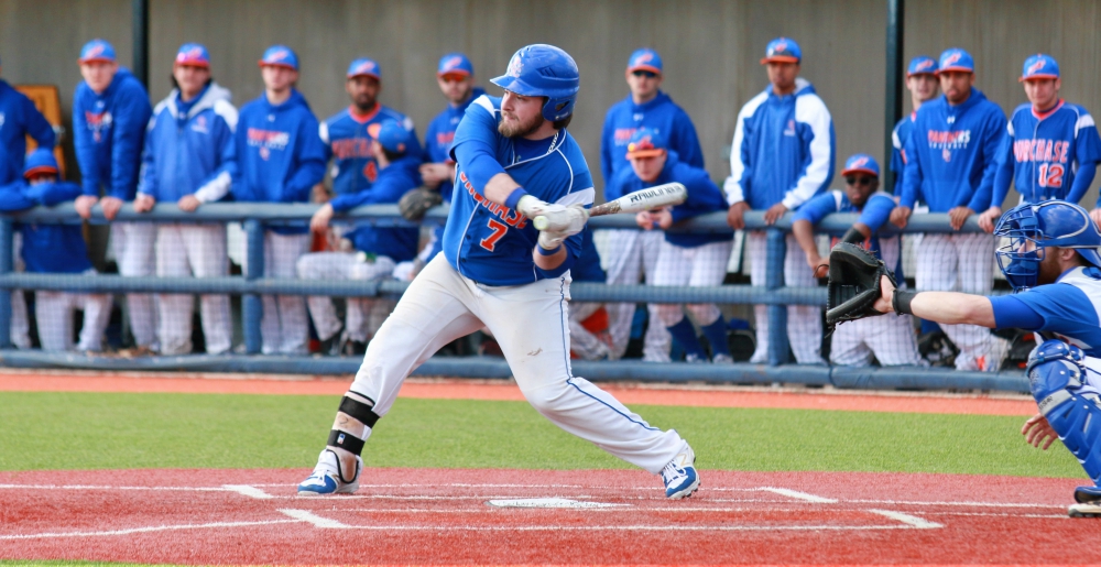 Michael Tecci - 2017 - Baseball - Purchase College Athletics