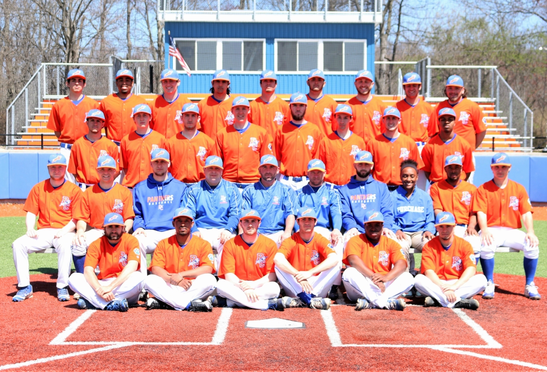 Michael Tecci - 2017 - Baseball - Purchase College Athletics