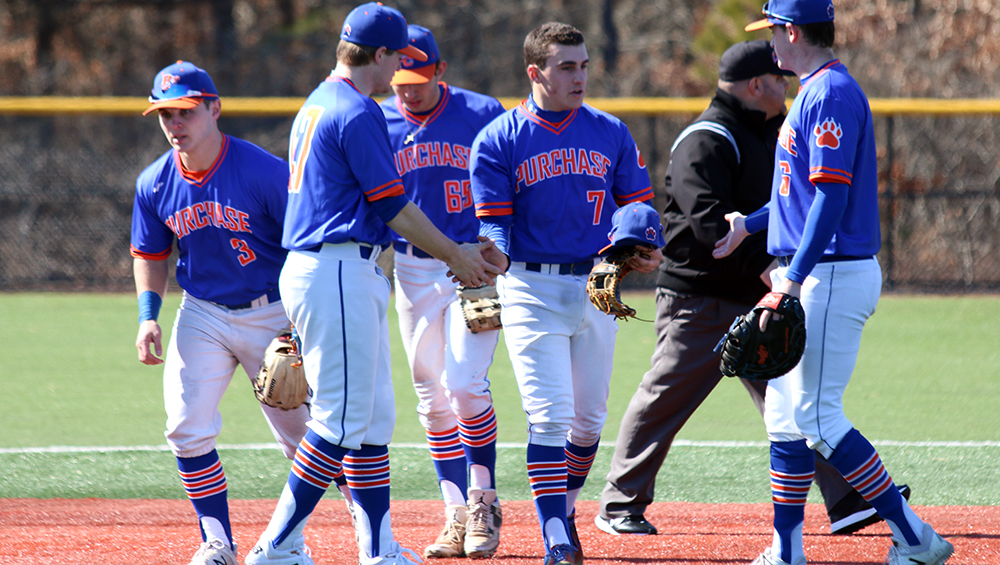 Dylan Flynn - 2020 - Baseball - Purchase College Athletics