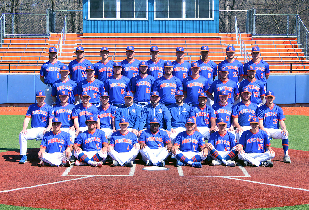 Matthew Villalobos - 2019 - Baseball - Purchase College Athletics