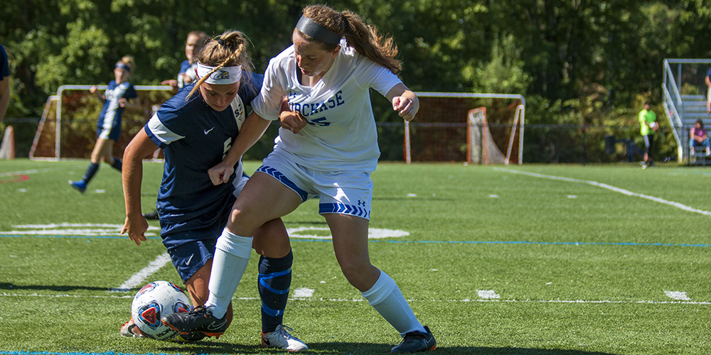 Rebecca Colgan - 2021 - Women's Soccer - Purchase College Athletics