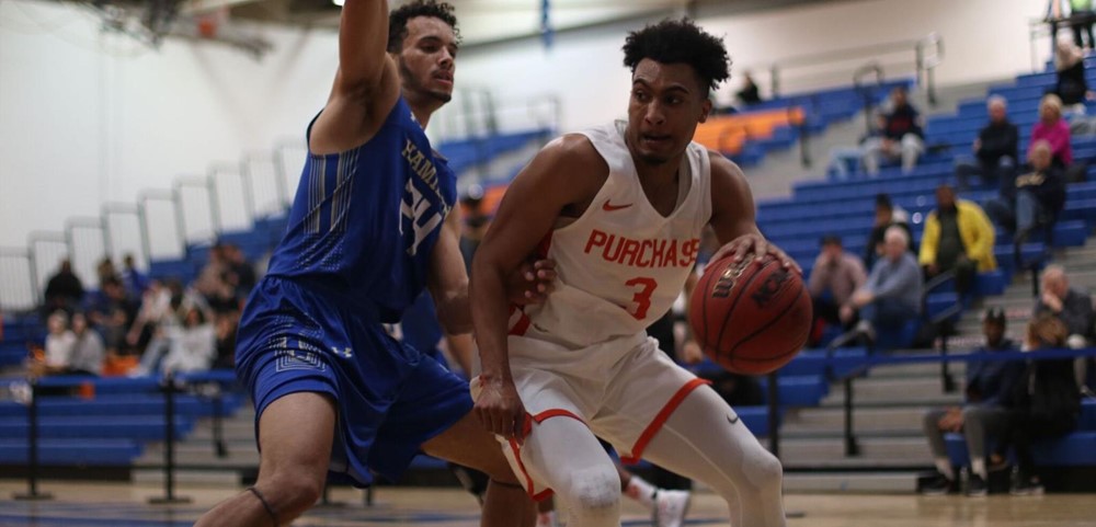 Elijah Harris - 2019-20 - Men's Basketball - Purchase College Athletics