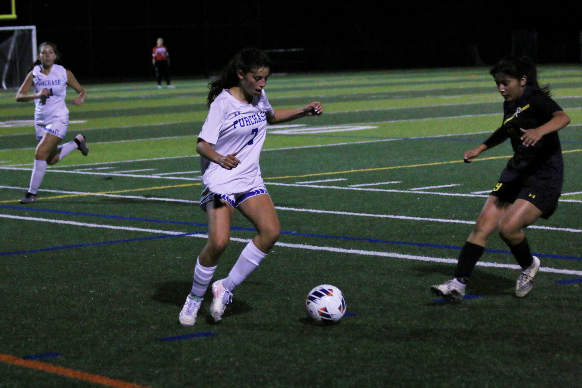 Panthers Caged at Home - Purchase College Athletics