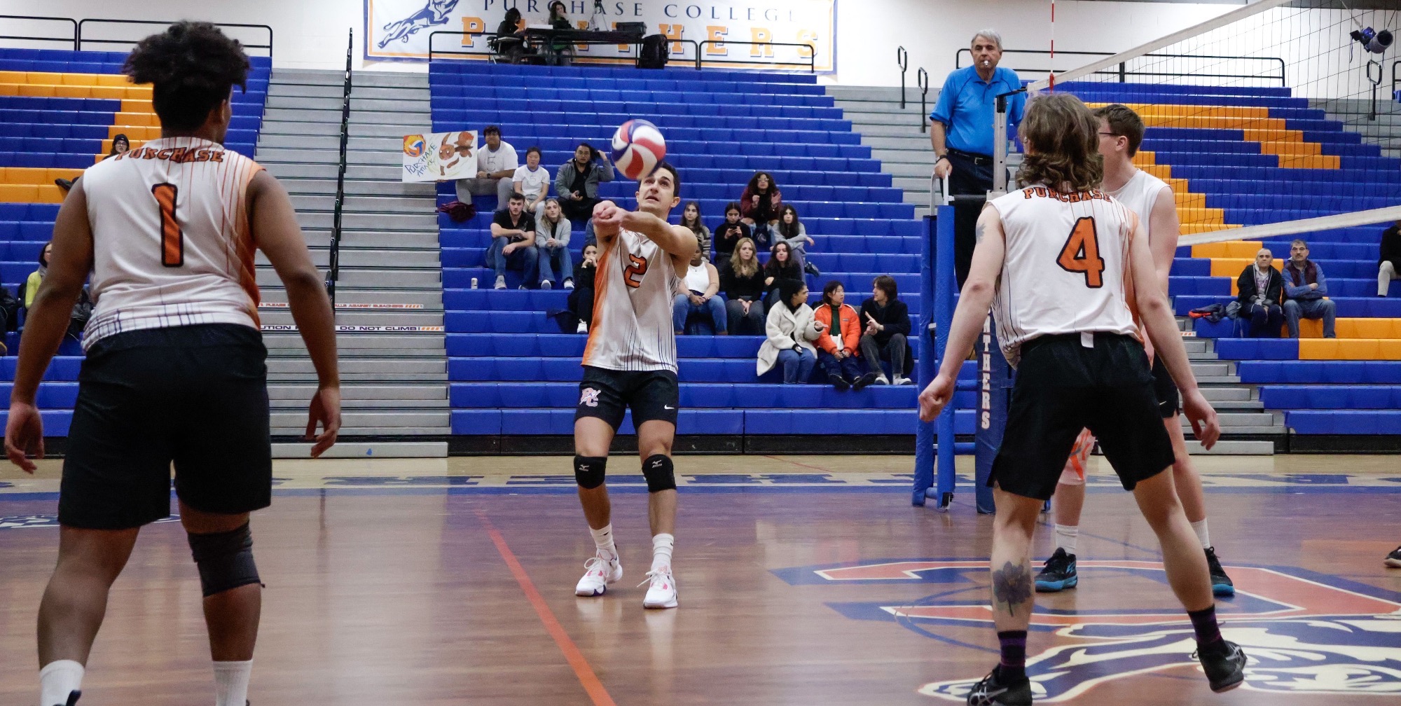 Chris Posillico - 2023 - Men's Volleyball - Purchase College Athletics