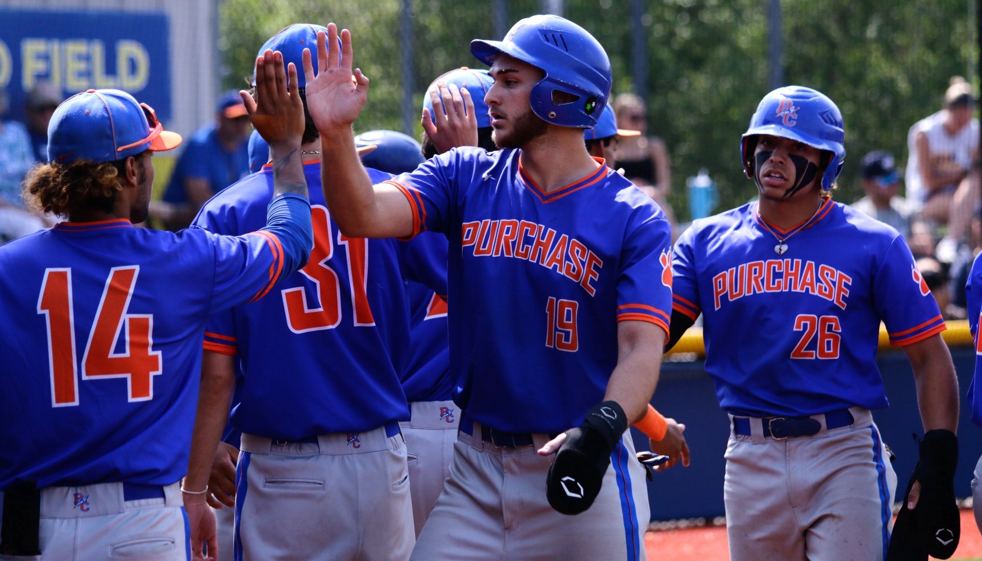 Liam Daly - 2024 - Baseball - Purchase College Athletics