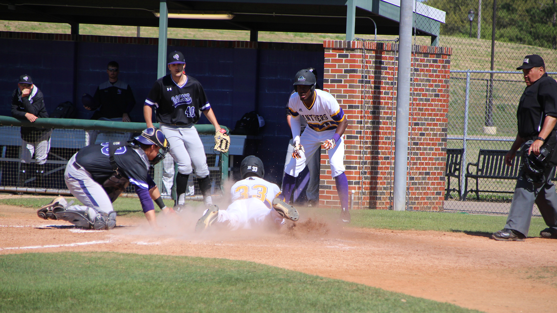 Avery Williams - Baseball - Prairie View A&M University Athletics