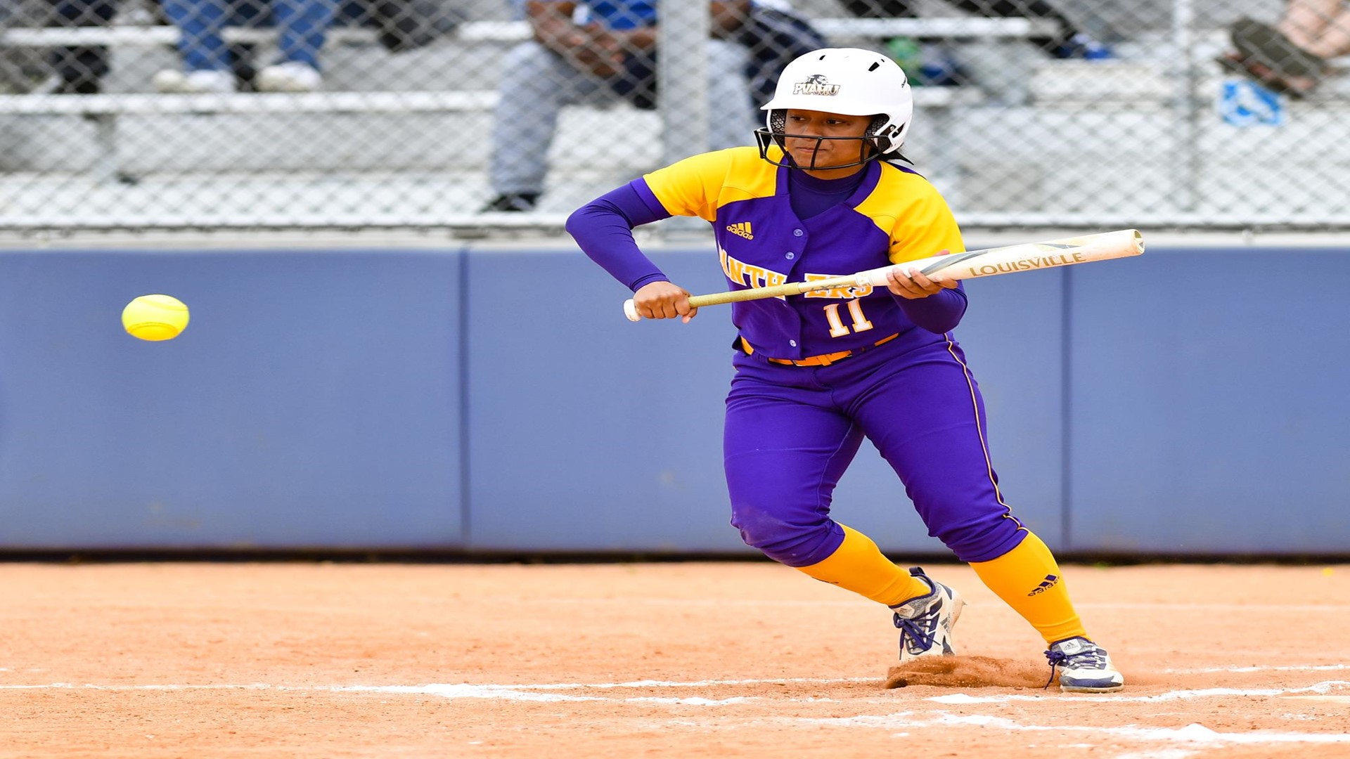 Shelby Williams - Softball - Prairie View A&M University Athletics