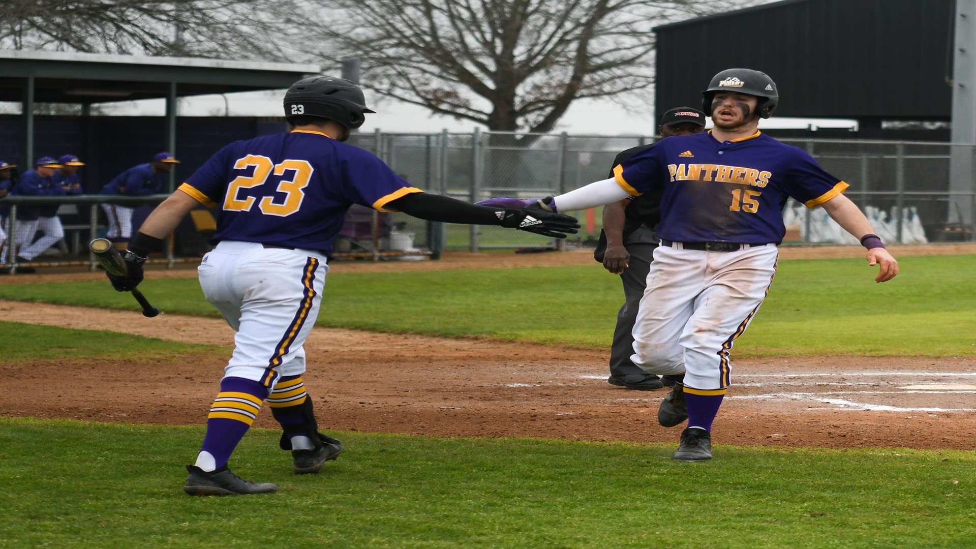 Daniel Lingua - Baseball - Prairie View A&M University Athletics