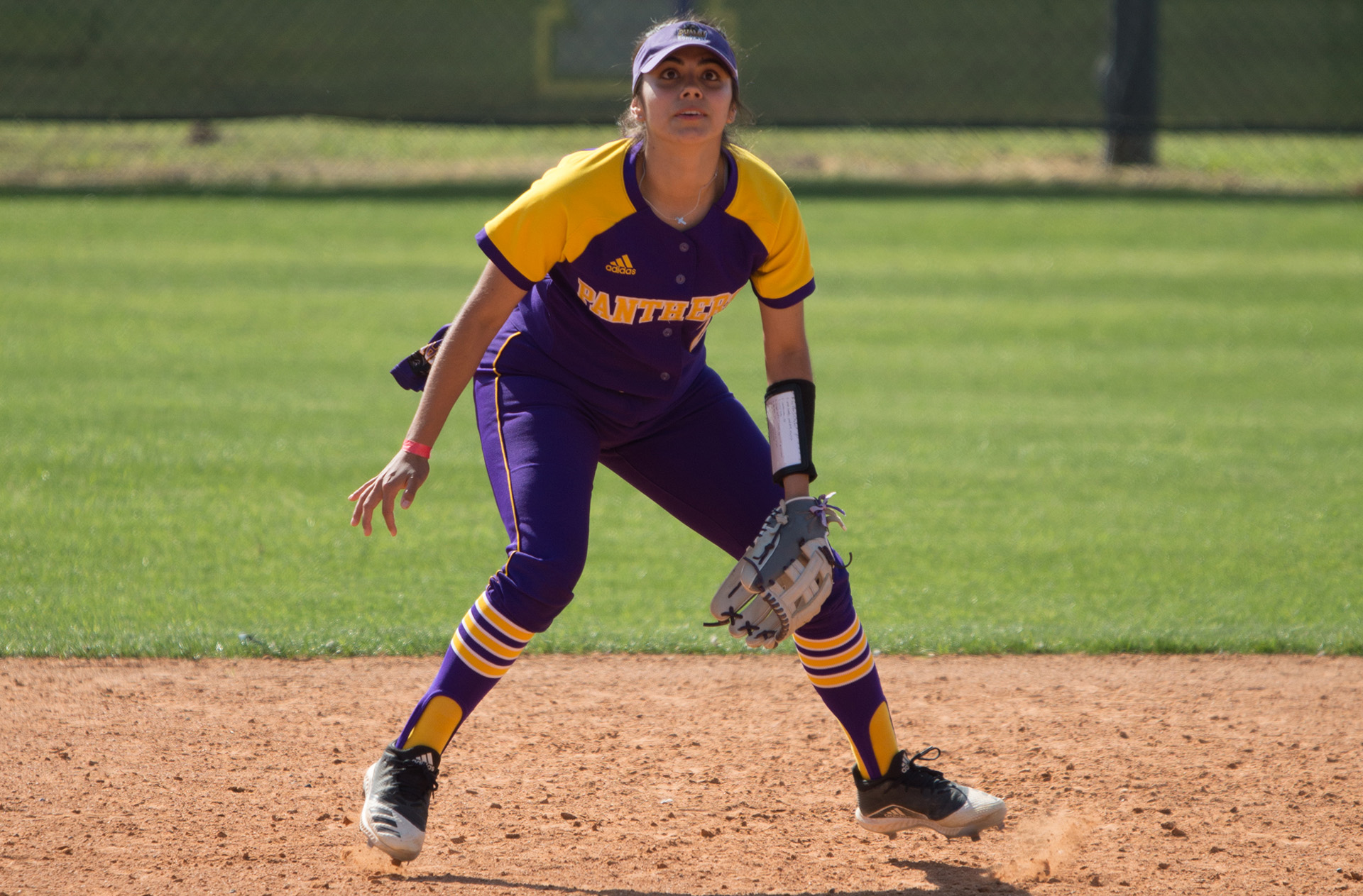 Softball takes two of three from Alabama A&M - Prairie View A&M ...
