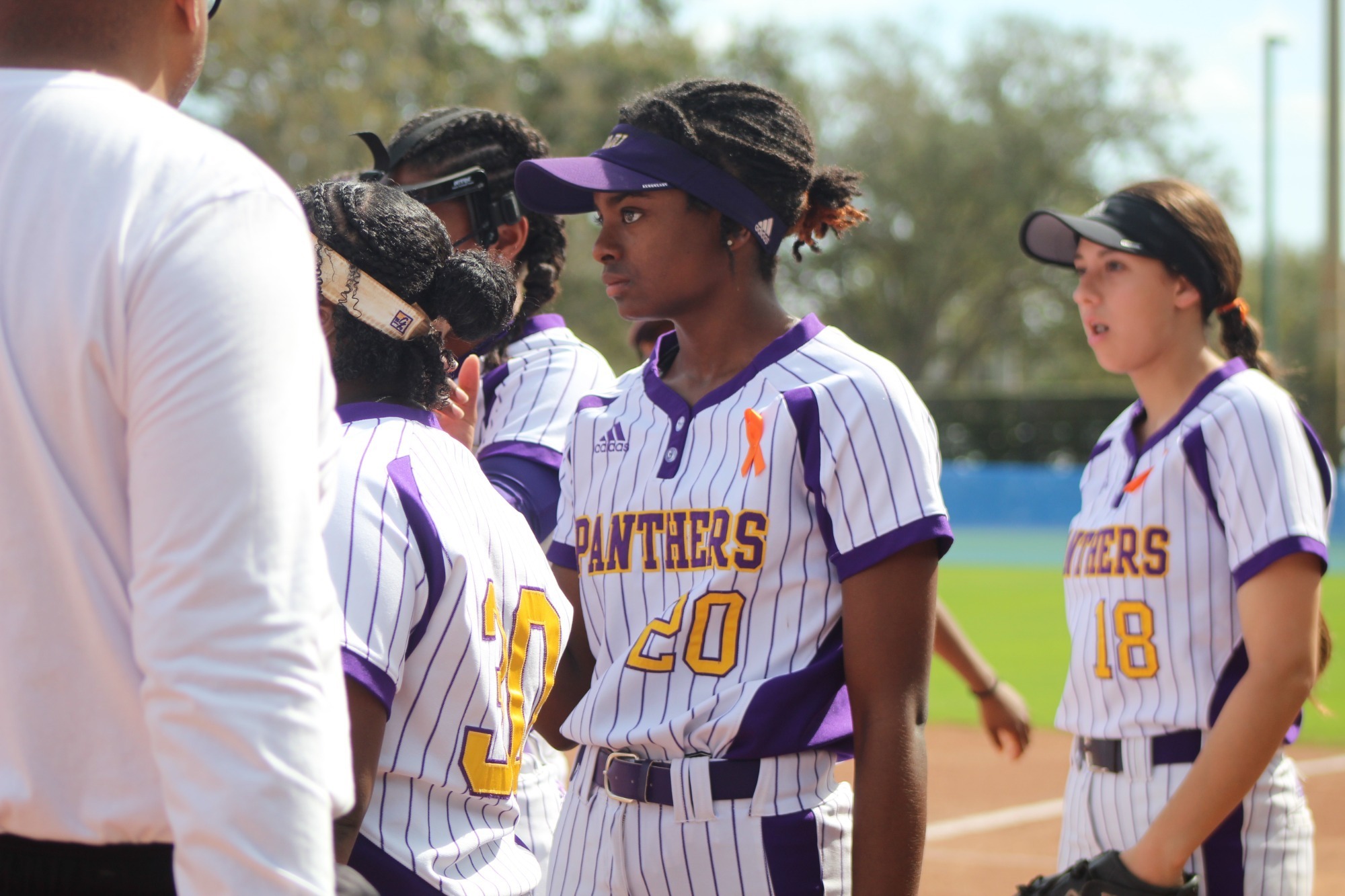 Softball Ends NFCA DI Classic Falling to Missouri - Prairie View A&M ...