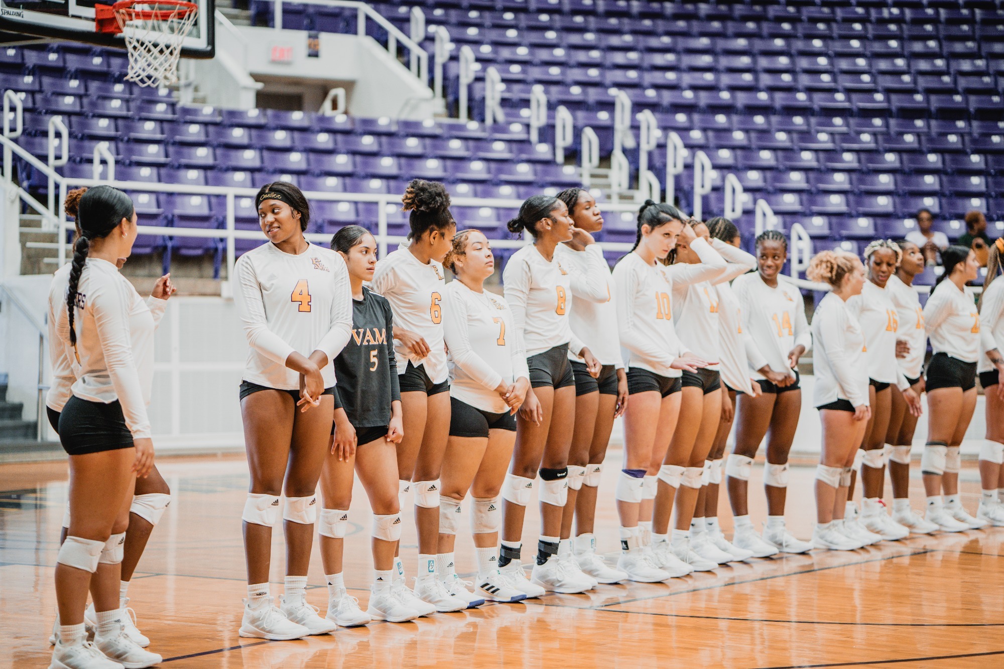 Lady Panthers fall to Weber State - Prairie View A&M University Athletics