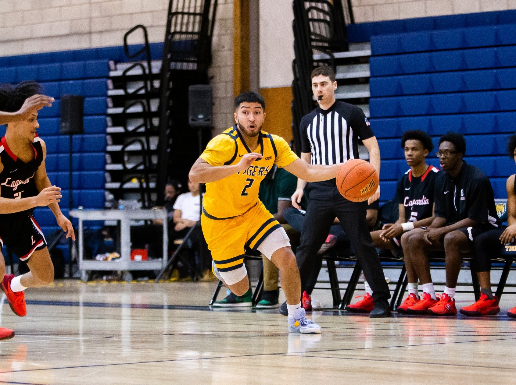 SIX IN A ROW!! Tigers Keep Rolling in Road Victory - Queensborough ...