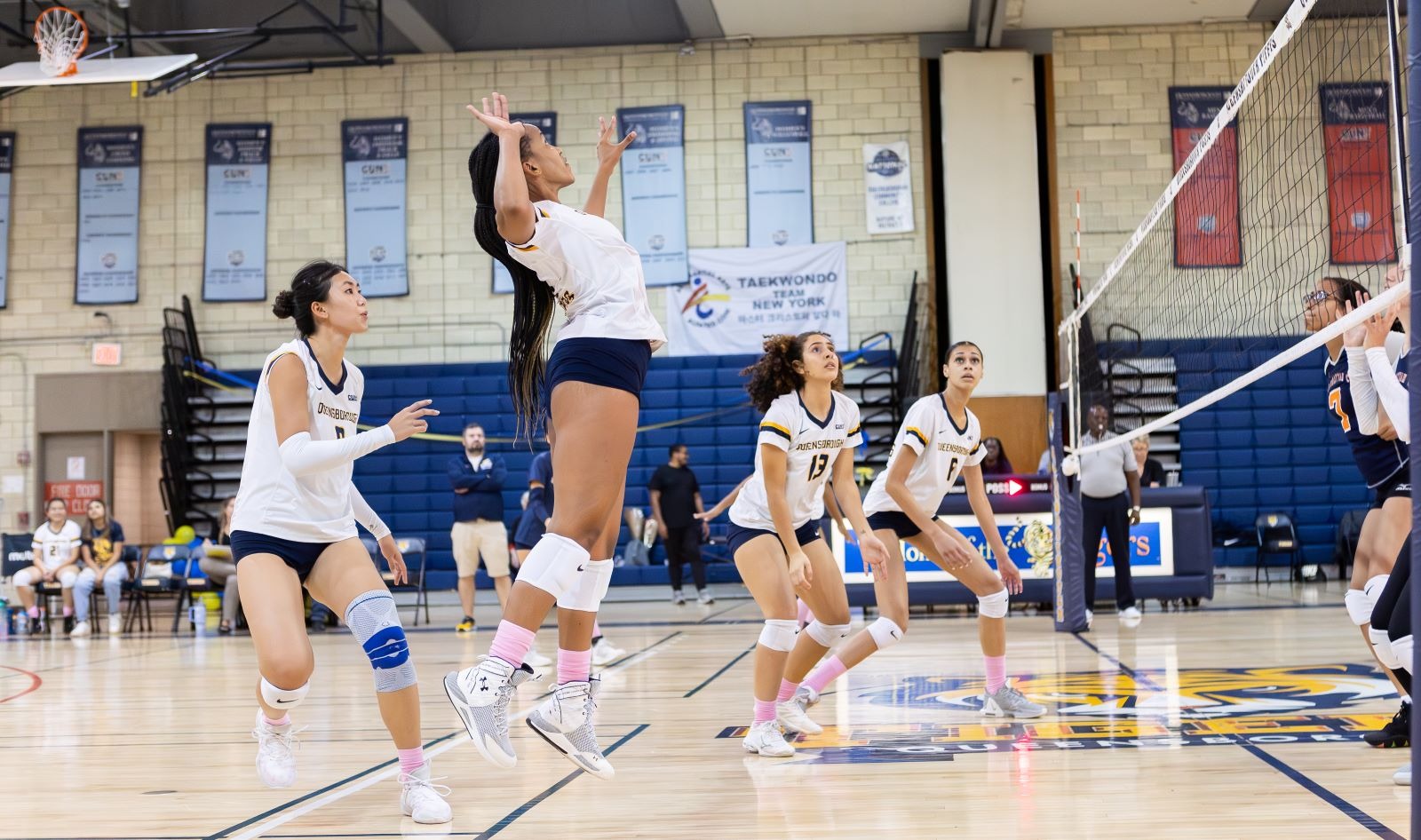 Tigers Suffer Heartbreaking Loss in Region Semifinal - Queensborough ...