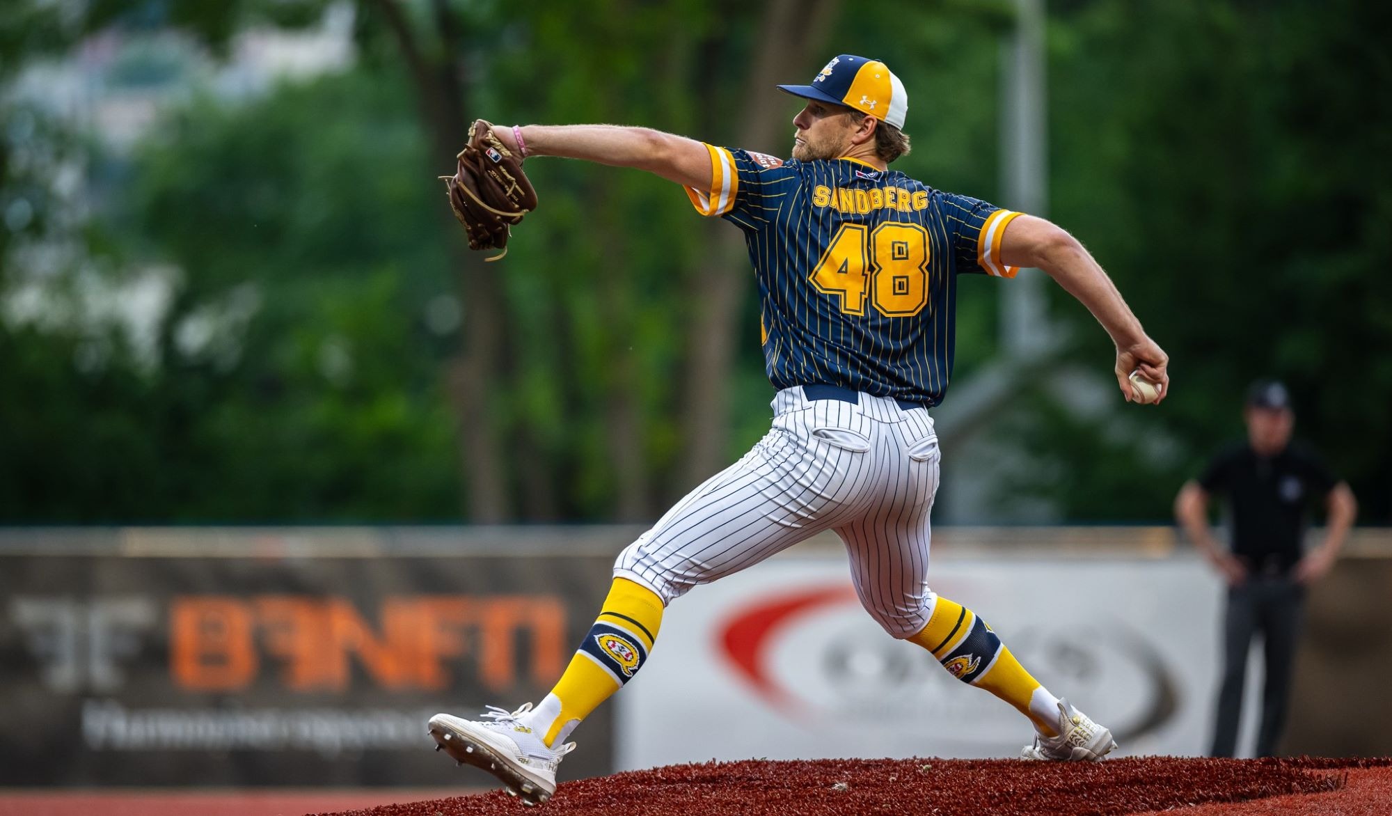2024 Baseball Schedule Announced - Queensborough Community College